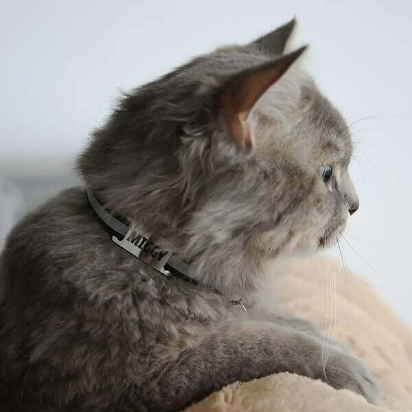 100% Stainless Steel Dog Tags with Engraving | Dogtagsuk.co.uk